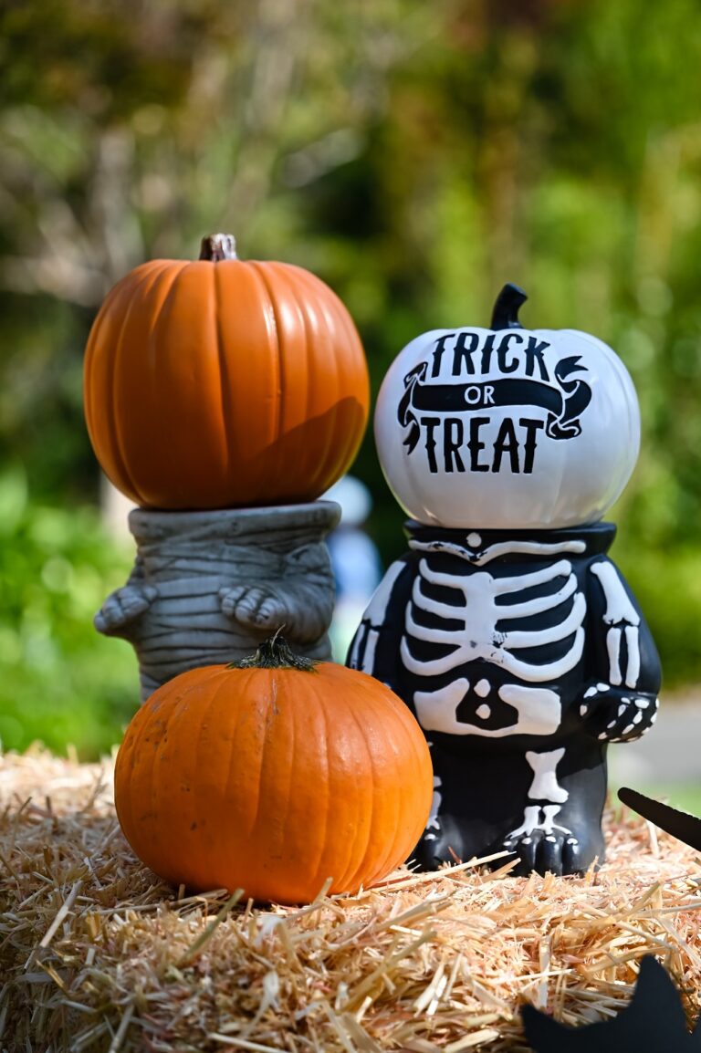 10 Spoopy Halloween Proposal Ideas That Are Romantic