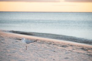 Romantic Things To Do In Perth, Australia This Year