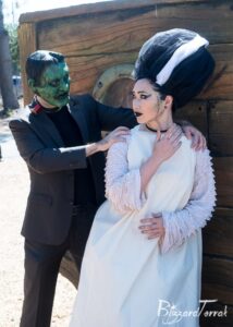 7 Stunning Bride of Frankenstein Costume Ideas