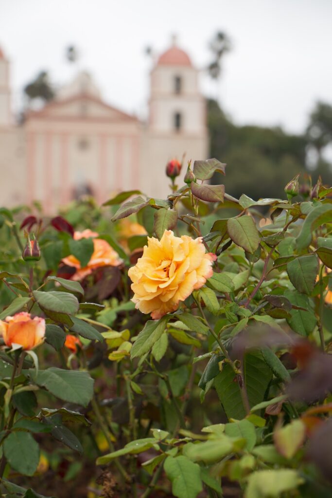 Romantic Things To Do In Santa Barbara For Couples